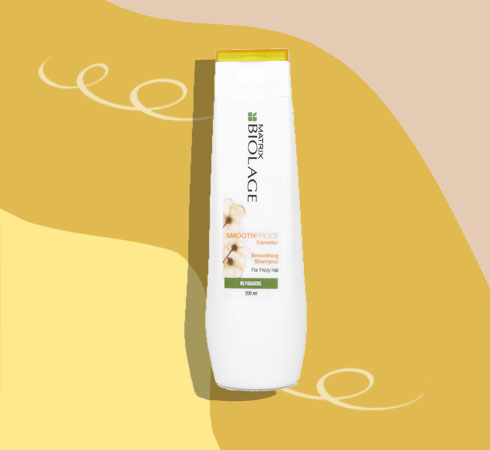 10 Best Shampoos For Frizzy Hair You Should Consider| Nykaa’s Beauty Book